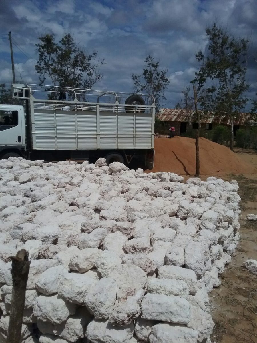 Gallery: the Classroom and the Library - Word Forest