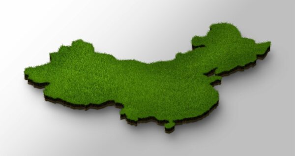 Assessing China’s ‘Green Wall’: Lessons To The World On Afforestation ...