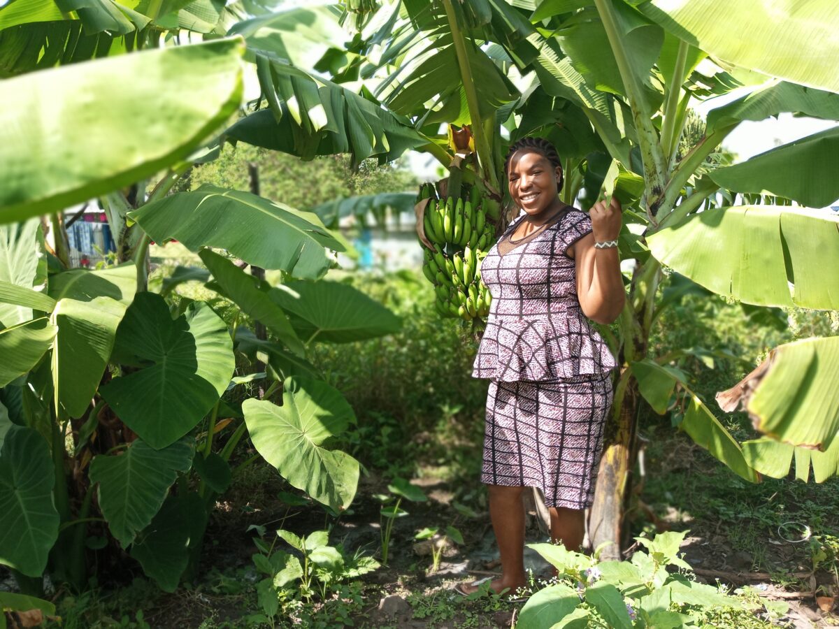 Kitchen Gardens On Rusinga Island - Word Forest