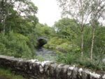 Exploring Scotland's Diverse Tree Species: A Glimpse Into The Country's ...