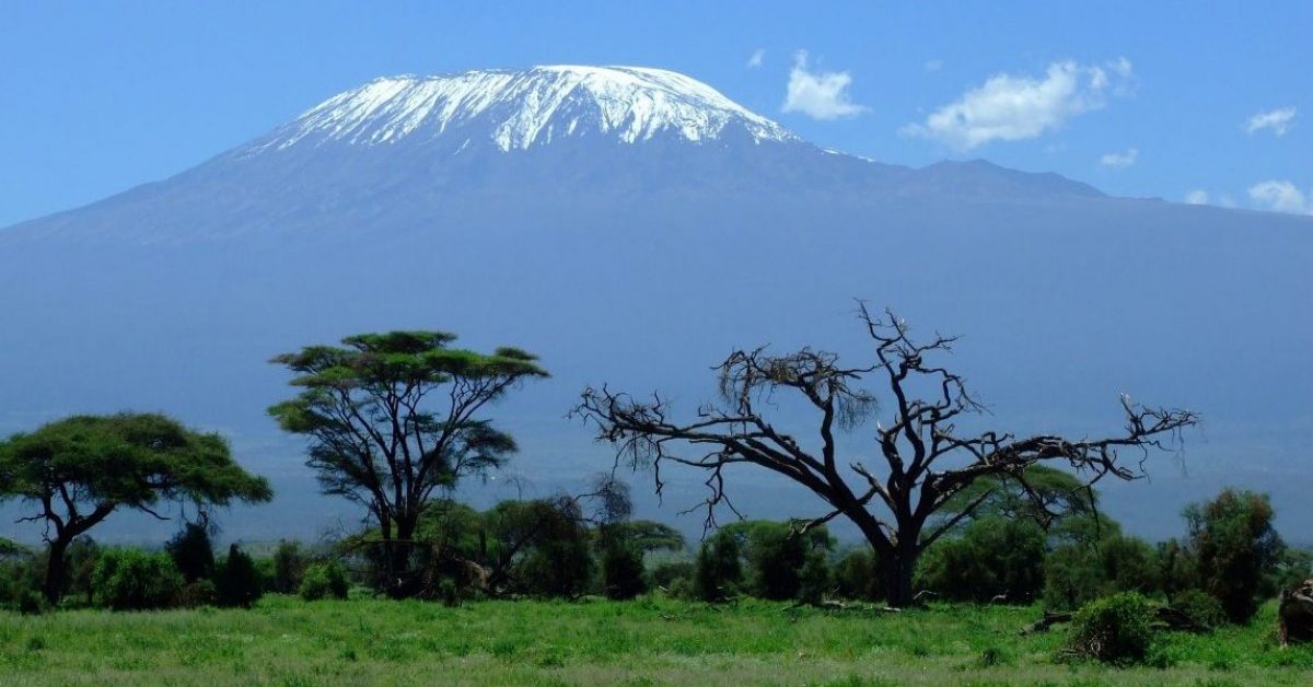Travel & Nature in Kenya - The Word Forest Organisation